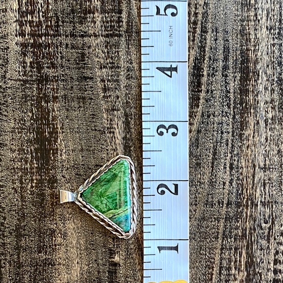 Jewelry | Parrot Wing Jasper Sterling Silver Pendant | Poshmark